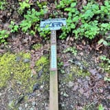 Poo Poo Point Trail, Washington - 6,006 Reviews, Map | AllTrails