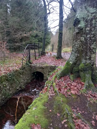 Best Hikes and Trails in Donadea Forest Park | AllTrails