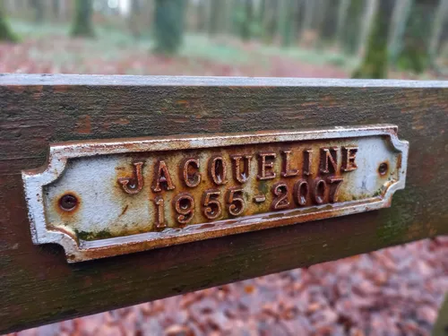 Donadea Forest Park: de beste routes om te wandelen | AllTrails