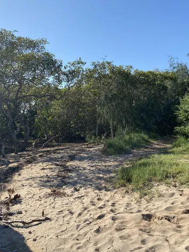 Best Hikes and Trails in King Island Conservation Park | AllTrails