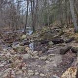 Reeves Brook Loop Trail, New York - 4,700 Reviews, Map | AllTrails