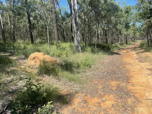 Best Hikes and Trails in Spring Mountain | AllTrails