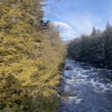 Pendleton Point Overlook, West Virginia - 197 Reviews, Map | AllTrails