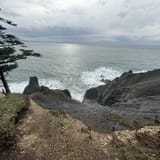 Cape Falcon Trail, Oregon - 3,595 Reviews, Map | AllTrails