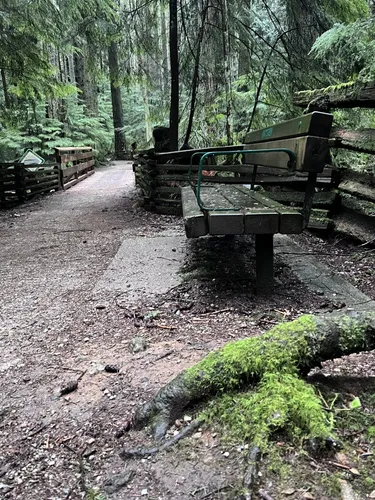 Best Hikes and Trails in UBC Endowment Lands | AllTrails