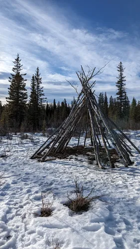 Best Hikes and Trails in Weaselhead Flats | AllTrails