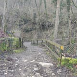 Saint Georges Bridge - Lignon Bridge - Sentier des Falaises Trail ...