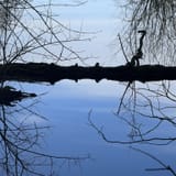 Old Pale Hill and Delamere Forest, Cheshire, England - 890 Reviews, Map ...