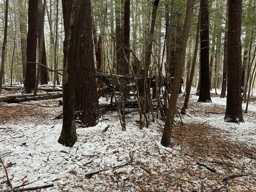 Best Hikes and Trails in Ushers Road State Forest | AllTrails