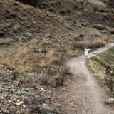 Memory Grove Trail, Utah - 1,320 Reviews, Map | AllTrails