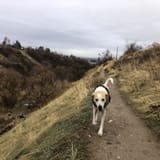 Memory Grove Trail, Utah - 1,320 Reviews, Map | AllTrails