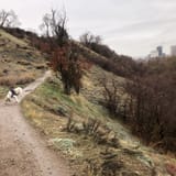 Memory Grove Trail, Utah - 1,320 Reviews, Map | AllTrails