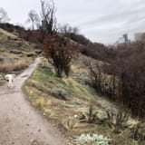 Memory Grove Trail, Utah - 1,320 Reviews, Map | AllTrails