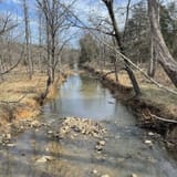 Brumley Forest Nature Preserve North, North Carolina - 1,118 Reviews ...