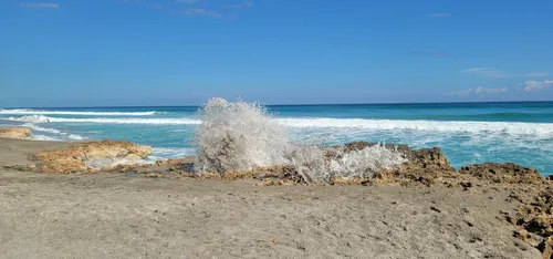 Best Hikes and Trails in Blowing Rocks Nature Preserve | AllTrails