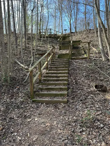 Best Hikes and Trails in B. Everett Jordan Project | AllTrails