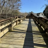 Tri-State Peak Trail, Tennessee - 928 Reviews, Map | AllTrails