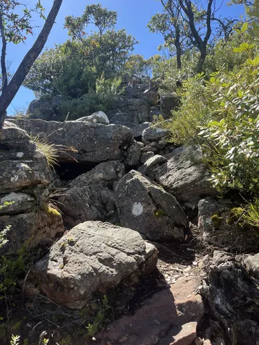 Best Hikes and Trails in Major Mitchell Plateau Remote Natural Area ...