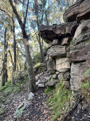 Best Hikes and Trails in Major Mitchell Plateau Remote Natural Area ...