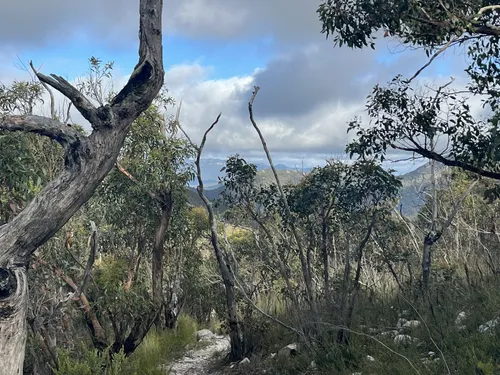 Best Backpacking Trails in Mafeking | AllTrails