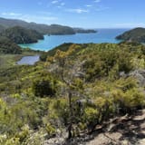 Abel Tasman Coast Track: Marahau to Anchorage, Nelson-Tasman, New ...