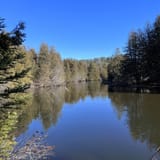 Boardman/Ottaway River Trail, Michigan - 309 Reviews, Map | AllTrails