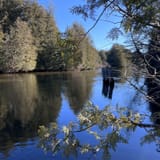 Boardman/Ottaway River Trail, Michigan - 309 Reviews, Map | AllTrails