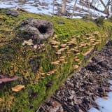 Neale Woods Nature Center Trails, Nebraska - 508 Reviews, Map | AllTrails