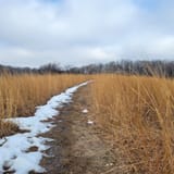 Neale Woods Nature Center Trails, Nebraska - 571 Reviews, Map | AllTrails