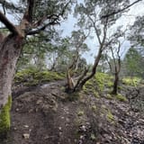 Lantzville Lookout Loop, British Columbia, Canada - 1,553 Reviews, Map ...