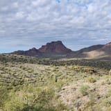 Coon Bluff Trail, Arizona - 775 Reviews, Map | AllTrails