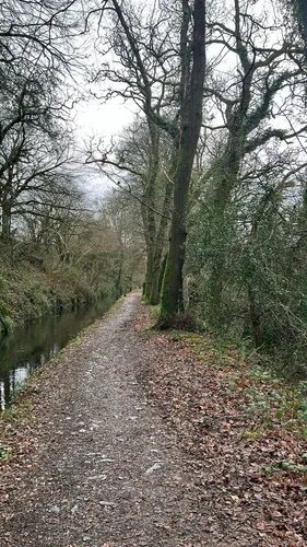 Best Kid Friendly Trails in Tamar Valley National Landscape (AONB ...