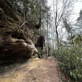 Angel Windows Trail, Kentucky - 1,201 Reviews, Map | AllTrails