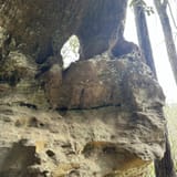 Angel Windows Trail, Kentucky - 1,201 Reviews, Map | AllTrails