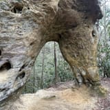 Angel Windows Trail, Kentucky - 1,201 Reviews, Map | AllTrails