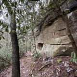 Angel Windows Trail, Kentucky - 1,201 Reviews, Map | AllTrails