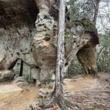 Angel Windows Trail, Kentucky - 1,201 Reviews, Map | AllTrails