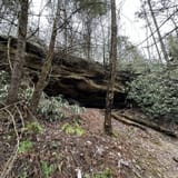 Angel Windows Trail, Kentucky - 1,201 Reviews, Map | AllTrails