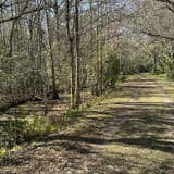 Nocatee Preserve Trail, Florida - 339 Reviews, Map | AllTrails