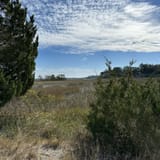 Nocatee Preserve Trail, Florida - 371 Reviews, Map | AllTrails