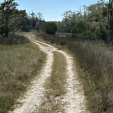 Nocatee Preserve Trail, Florida - 371 Reviews, Map | AllTrails