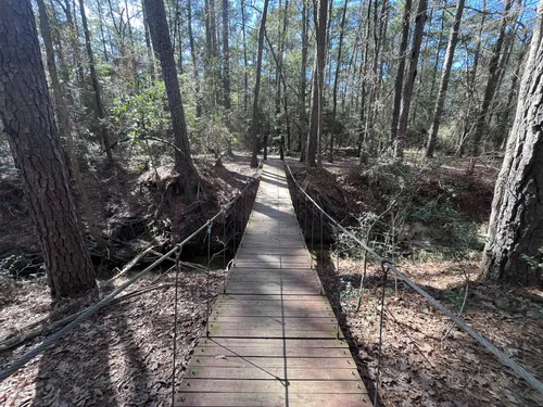 Best Hikes and Trails in W G Jones State Forest | AllTrails