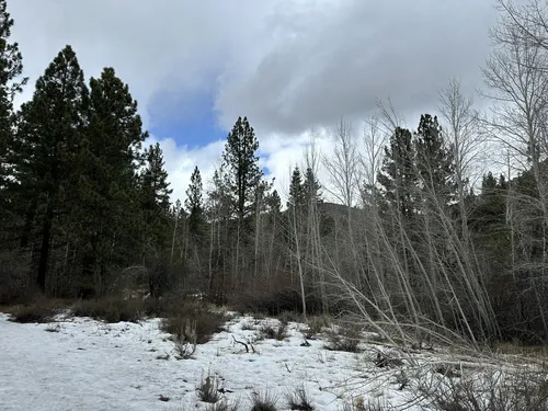 Best Waterfall Trails in Mount Rose Wilderness | AllTrails
