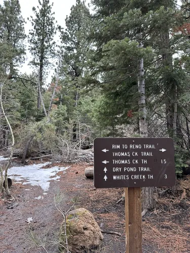 Best Waterfall Trails in Mount Rose Wilderness | AllTrails
