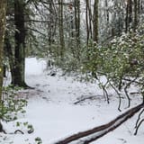 Capen Hill Nature Sanctuary, Massachusetts - 234 Reviews, Map | AllTrails