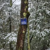 Capen Hill Nature Sanctuary, Massachusetts - 234 Reviews, Map | AllTrails