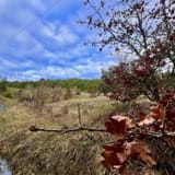 Fitton Green Natural Area Trail, Oregon - 374 Reviews, Map | AllTrails