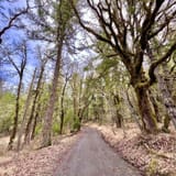 Fitton Green Natural Area Trail, Oregon - 375 Reviews, Map | AllTrails