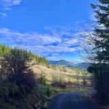 Fitton Green Natural Area Trail, Oregon - 381 Reviews, Map | AllTrails