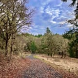 Fitton Green Natural Area Trail, Oregon - 381 Reviews, Map | AllTrails